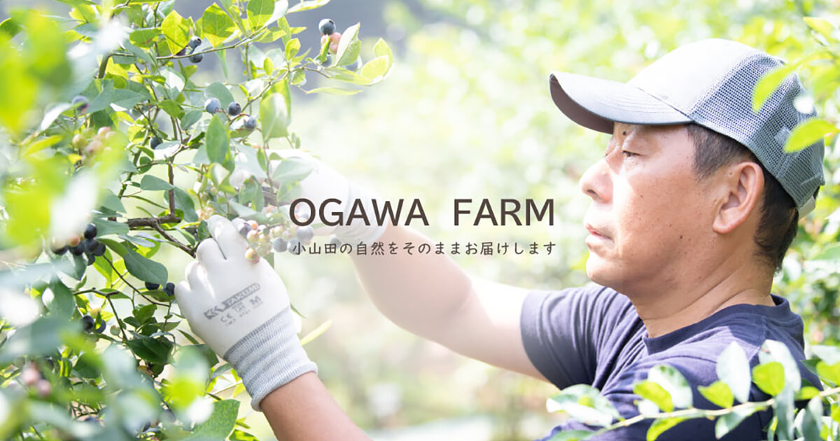農園紹介 – 小川ファーム